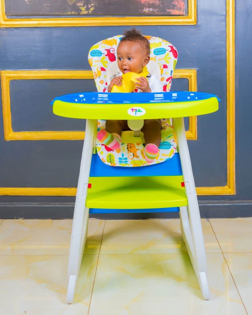 Convertible Feeding Chair - Nila Baby Shop