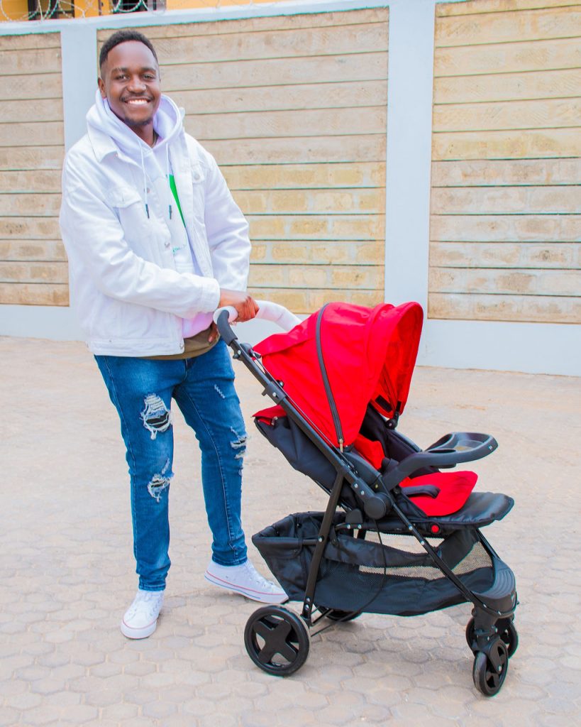 Portable Newborn Stroller With Reversible Handle - Nila Baby Shop