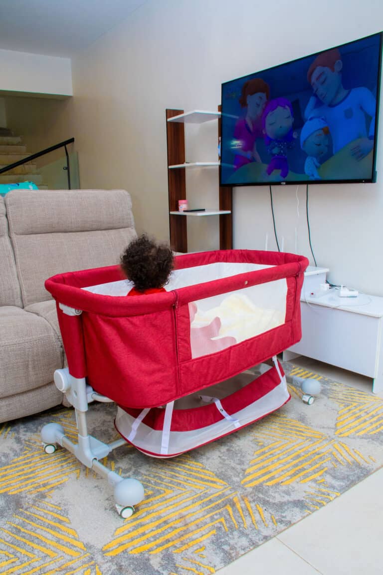 Multipurpose Baby Playpen Portable Baby Crib / Co-sleeper - Nila Baby Shop