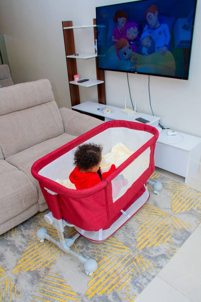 Multipurpose Baby Playpen Portable Baby Crib / Co-sleeper - Nila Baby Shop